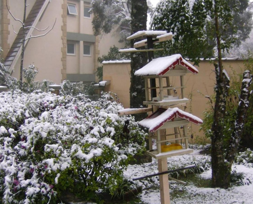 POUSADA ÁGUIA BRANCA